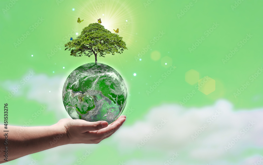 Hand holding a green world with growing trees and blurry green sky ...