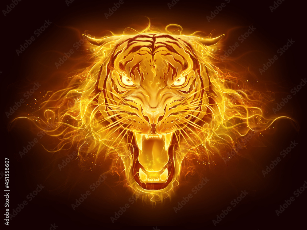 Tiger head made of fire with flame background. Digital painting. Stock ...