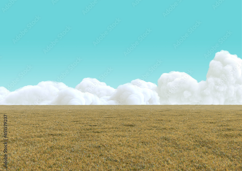 Dry Grass Field Background
