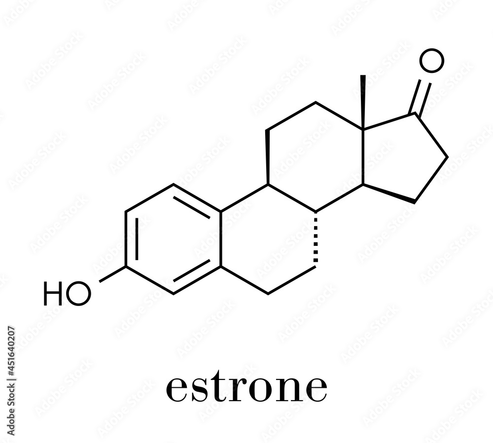 Estrone (oestrone) human estrogen hormone molecule. Skeletal formula ...
