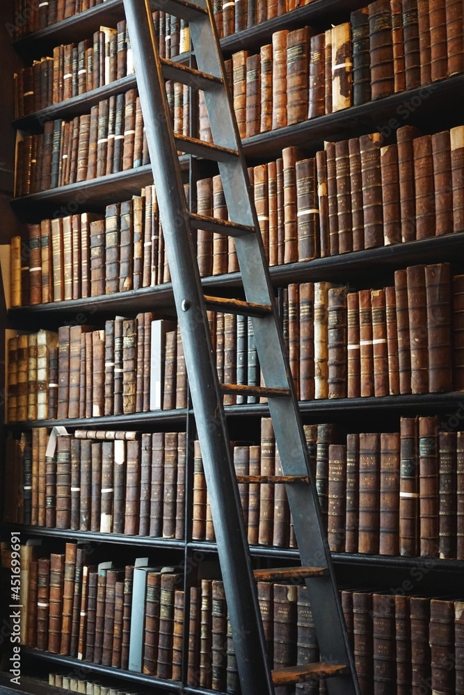 Steep ladder in front of a wall of shelves filled with leather-bound ...