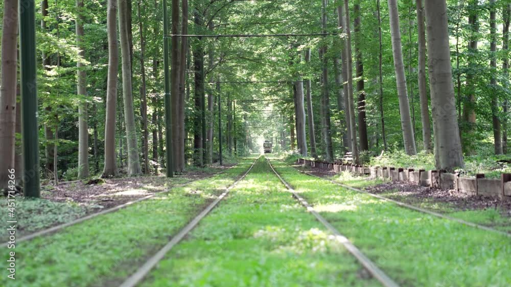 Low wide angle of riding metro fading away between the grassy railroad ...
