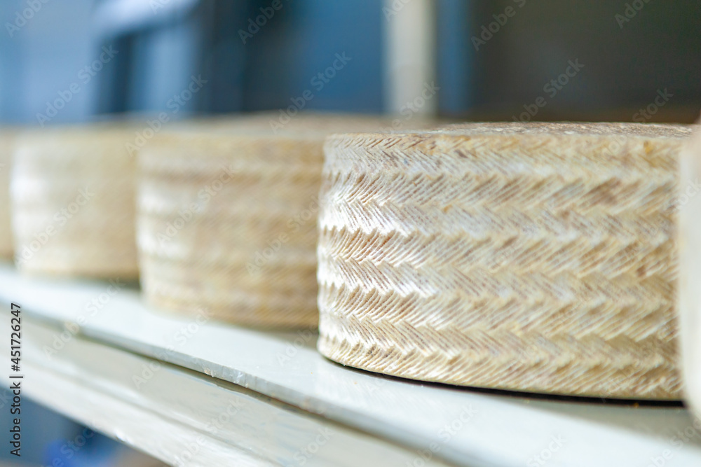 A wheel of white cheese on the shelf of a rustic dairy. Natural round ...