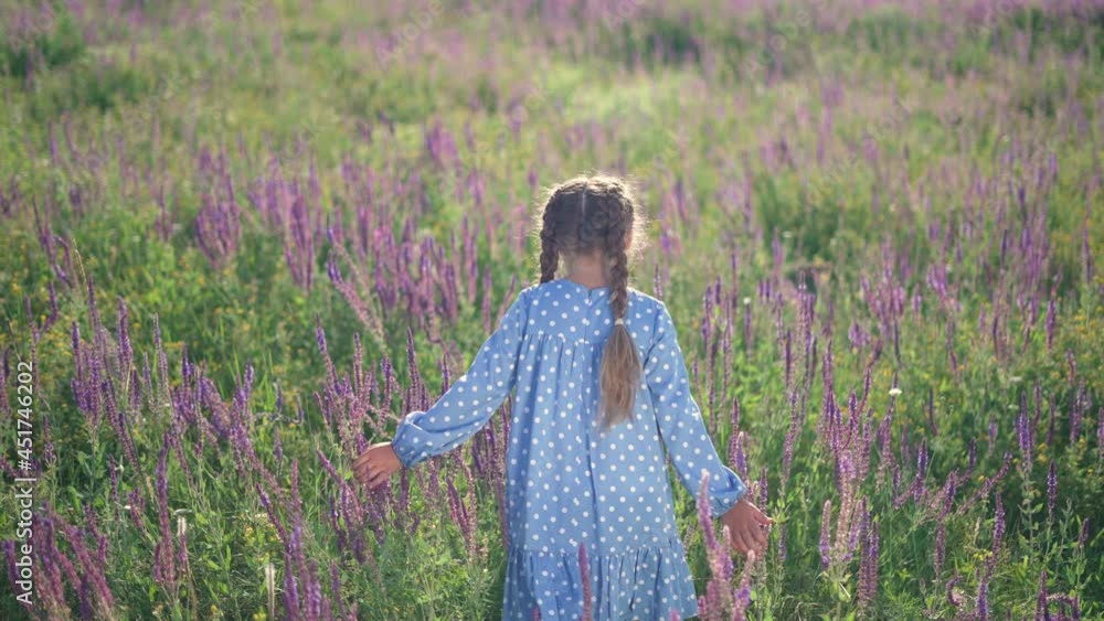 Girl in flower field. Child touches blue flowers with his hand. Girl in ...