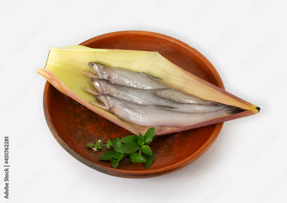 Foto Stock Fresh Bombay duck, bummalo, bombil, and boomla is a species ...