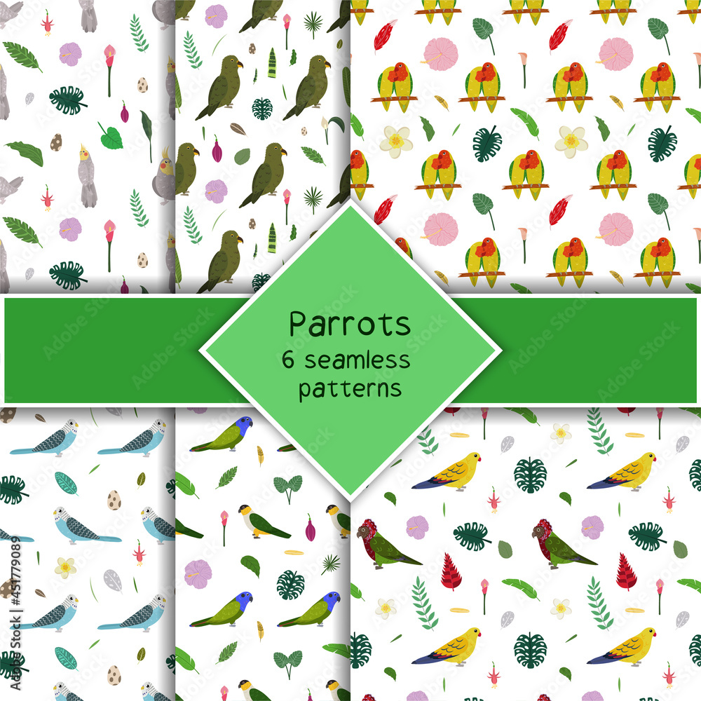 Parrot seamless pattern collection in cartoon style. Parrots cockatiel ...