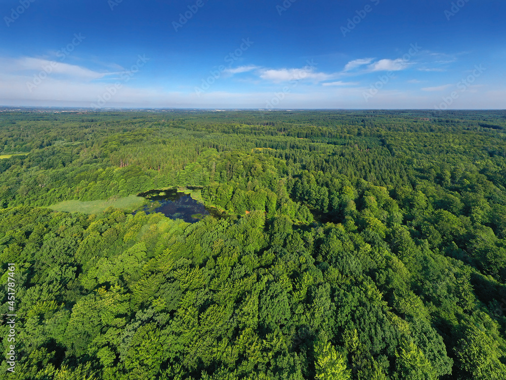 Gribskov Forest is one of Denmark’s largest and most beautiful natural ...