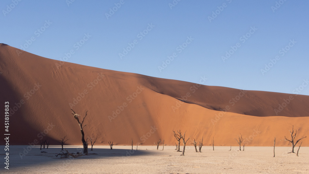 Dead tree and branches against the backdrop of a red desert dune at ...