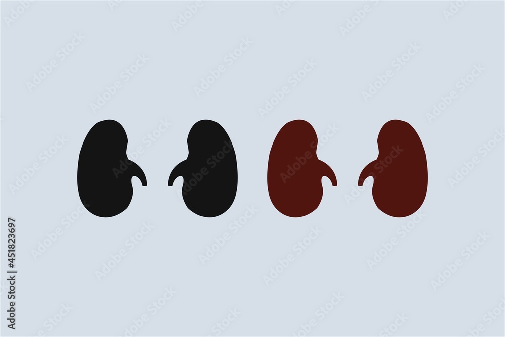 Kidney symbols vector illustration. Human body part vector design ...