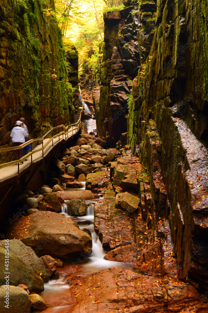 An elevated walking path takes hikers over a stream and through a ...