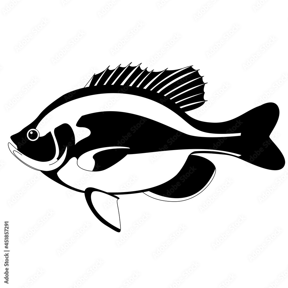 bluegill fish, vector illustration, black silhouette, side Stock Vector ...