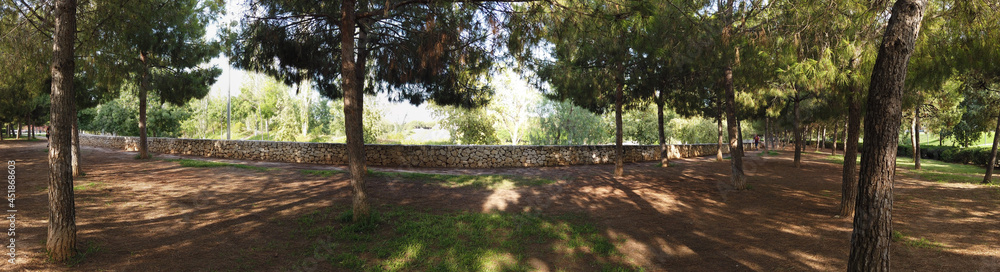 Paseo por el parque Stock Photo | Adobe Stock