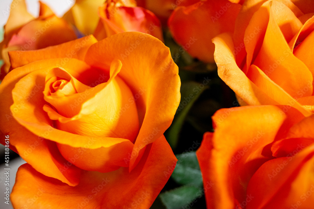 La rosa naranja ideal para dar un ramo de flores en san Valentín o ...