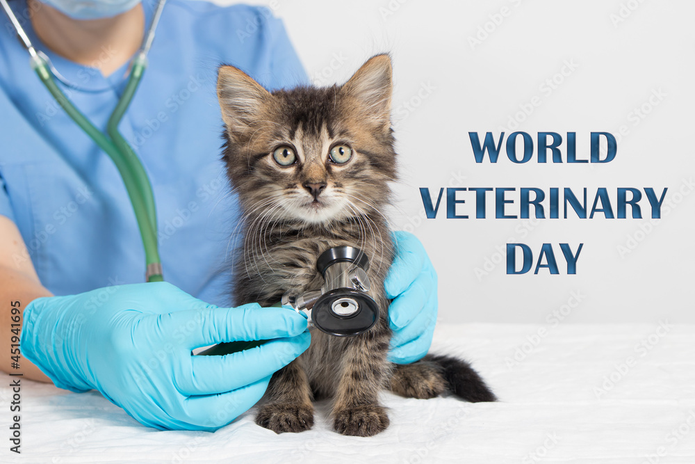 World Veterinary Day card with the inscription. The veterinarian ...
