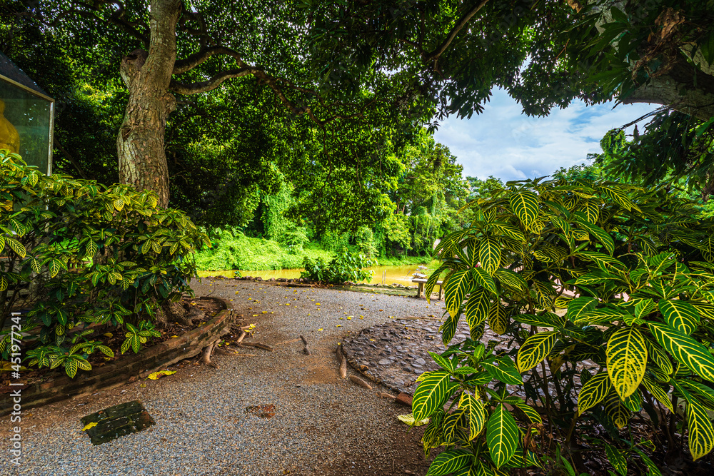 natural park at Wat Umong Suan Puthanatham is a Buddhist temple in the ...