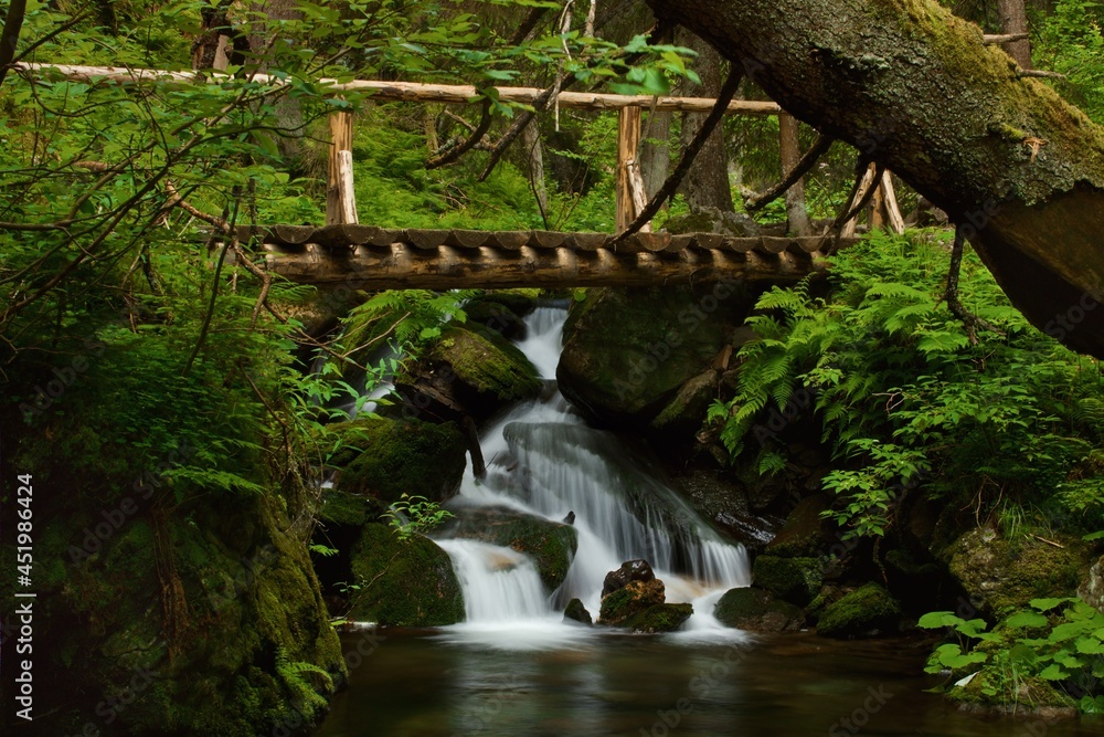 Waterfalls of Bílé Opavy. Lush forests and greenery on hiking trail of ...