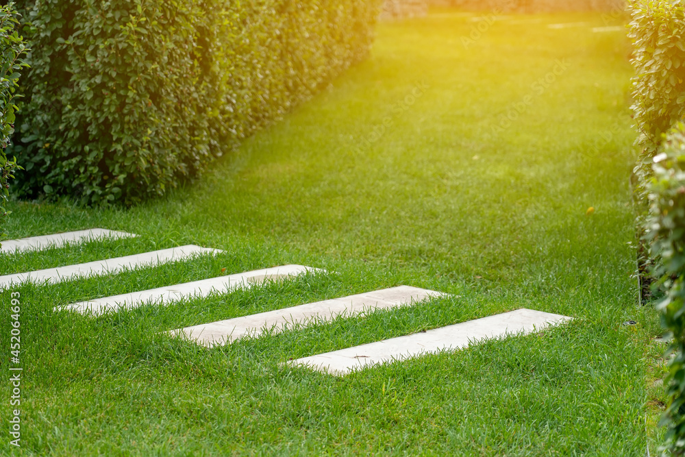 Green lawn and road surface from paving slabs in backyard. Strip line ...