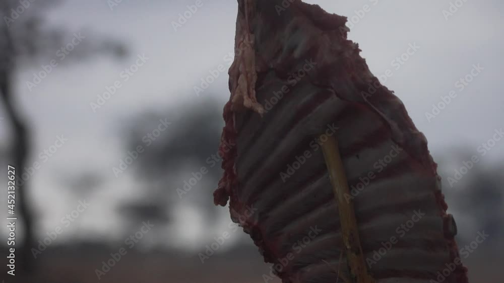 Close up shot of a piece of raw meat cooked in a traditional way in a ...