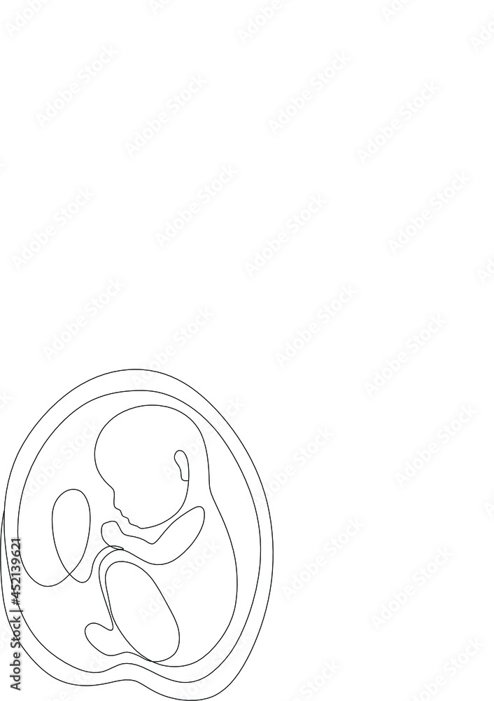 Baby embryo line art line art Stock Vector | Adobe Stock