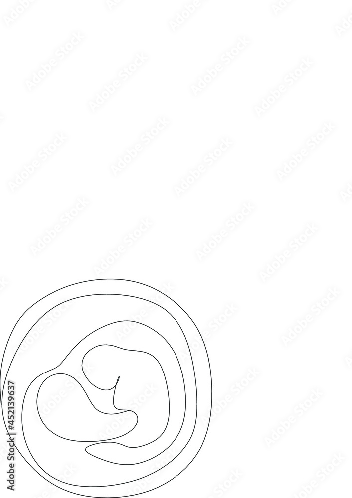 Baby embryo line art line art Stock Vector | Adobe Stock