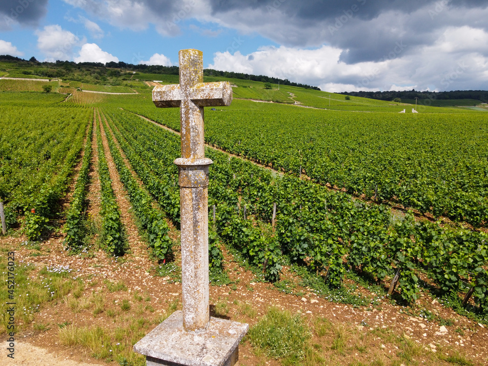 Aerian view on walled green grand cru and premier cru vineyards with ...
