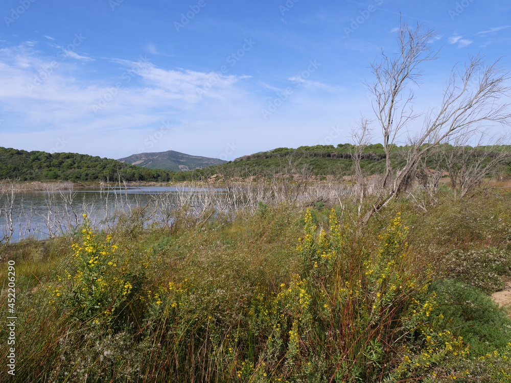 Lago di Baratz, Naturschutzgebiet auf Sardinien Stock Photo | Adobe Stock