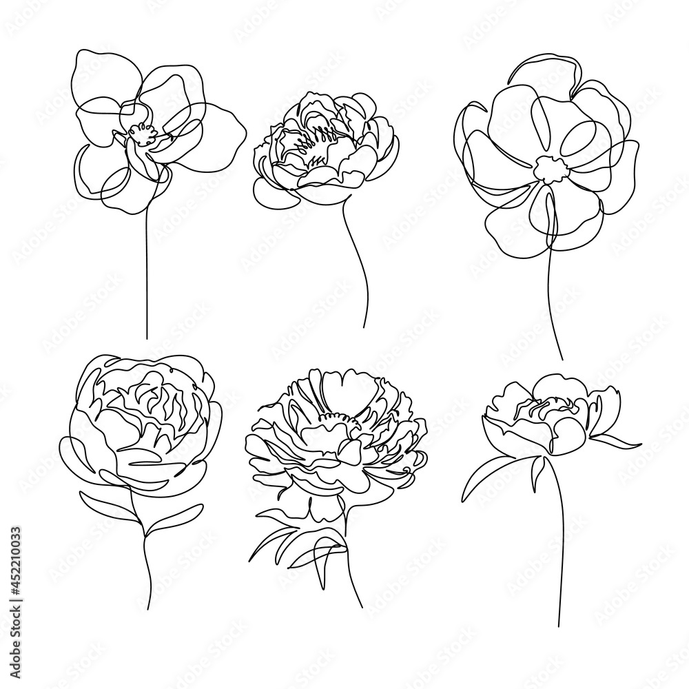 Peony Flowers one line art vector. Botanical peonies line drawing ...