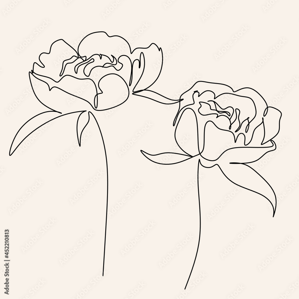 Peony Flowers one line art vector. Botanical peonies line drawing ...