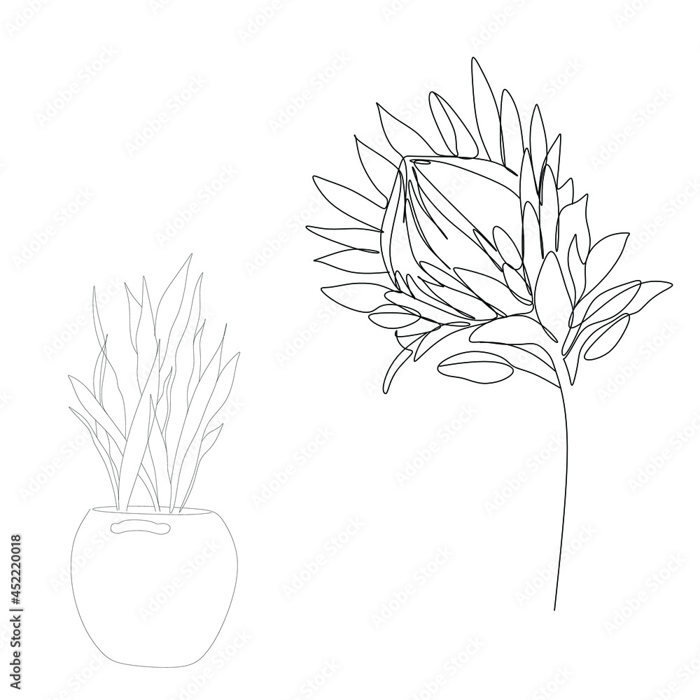 Abstract plant one line drawing. Hand drawn modern minimalistic design ...