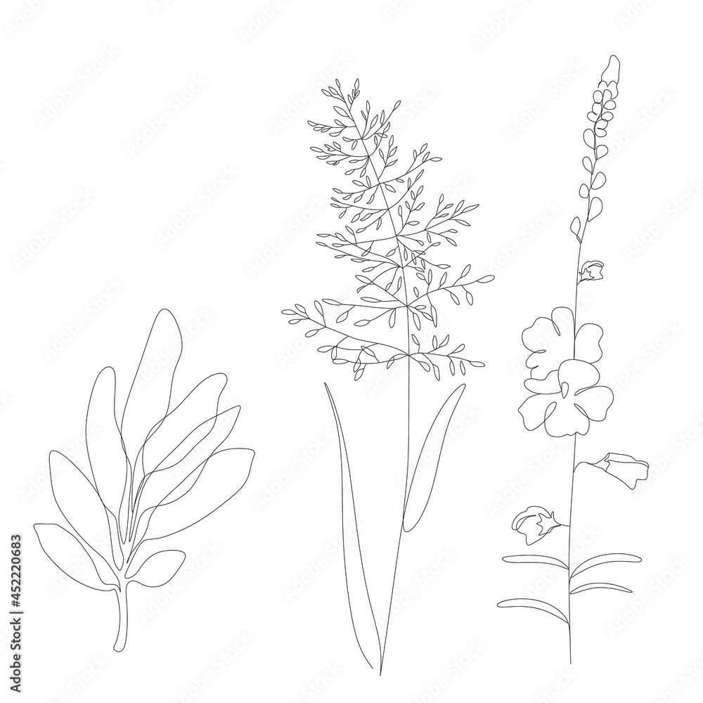 Abstract plant one line drawing. Hand drawn modern minimalistic design ...