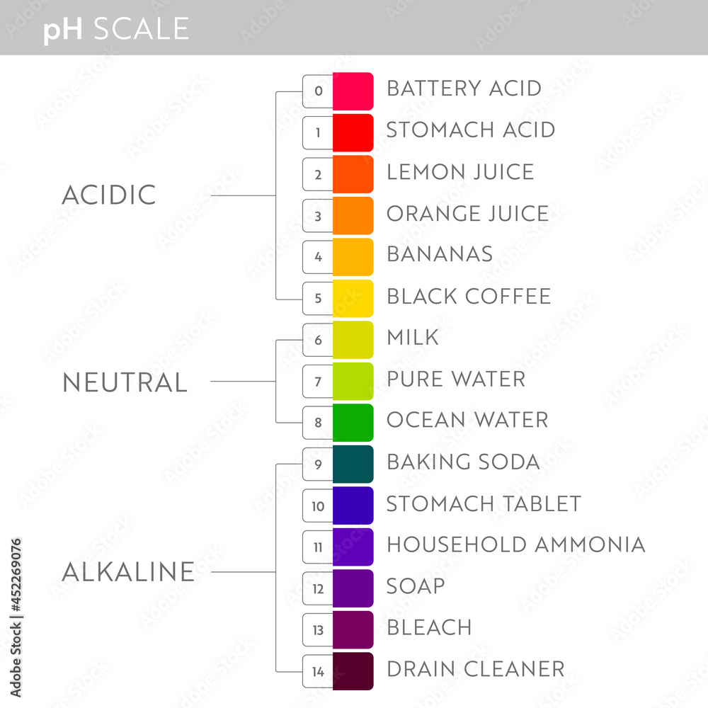 pH Value scale chart. Acid-base balance infographic. Education Poster ...