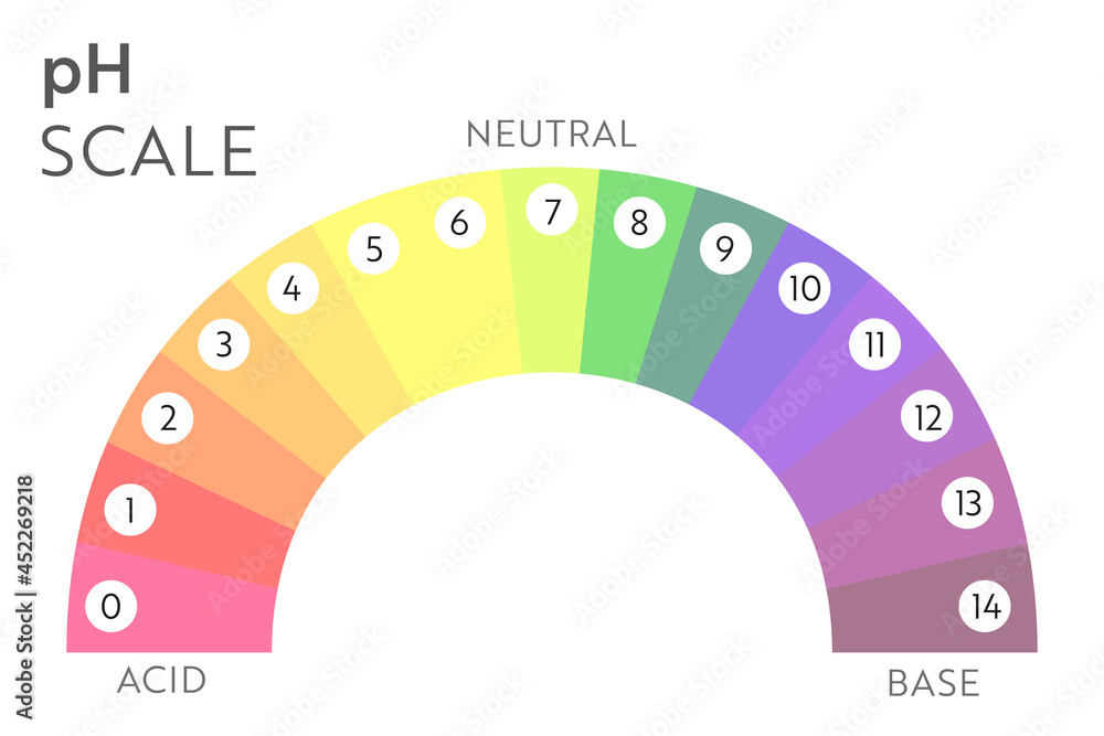 pH Value scale chart. Acid-base balance infographic. Education Poster ...