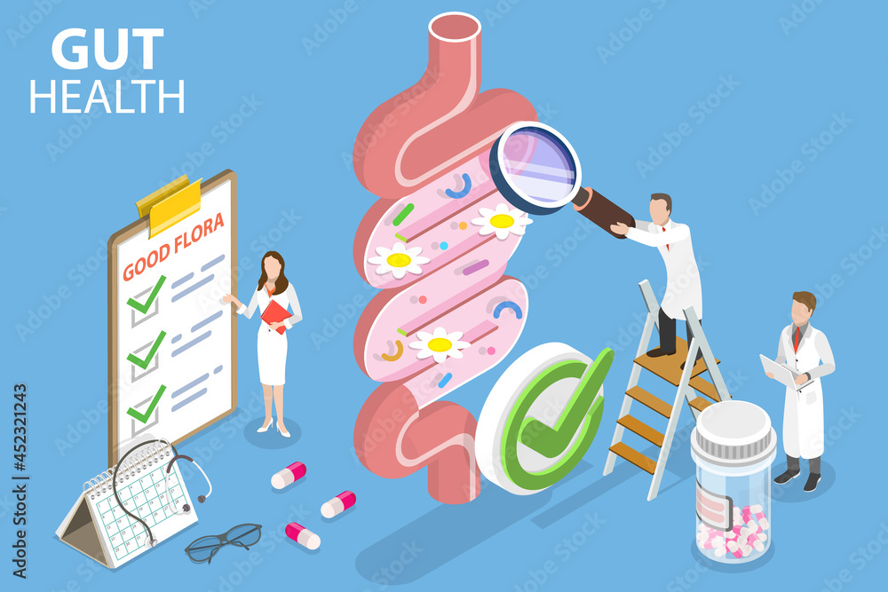 3D Isometric Flat Vector Conceptual Illustration of Gut Health, Healthy ...