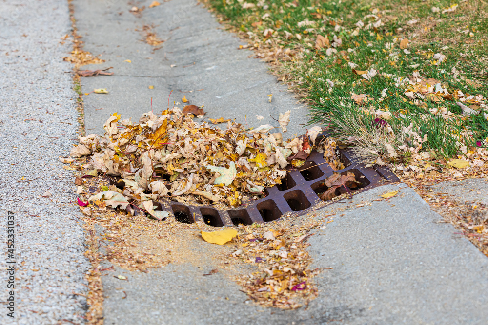 Storm sewer grate clogged with leaves. Flooding prevention, surface ...