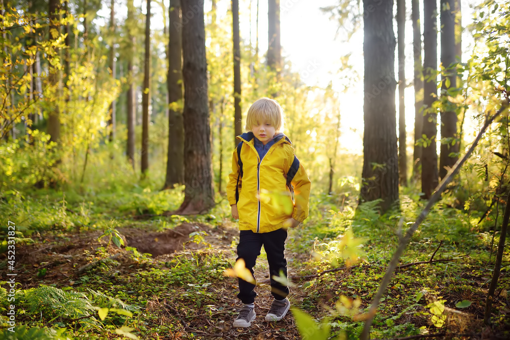 School child with backpack is hiking and exploring nature in the forest ...