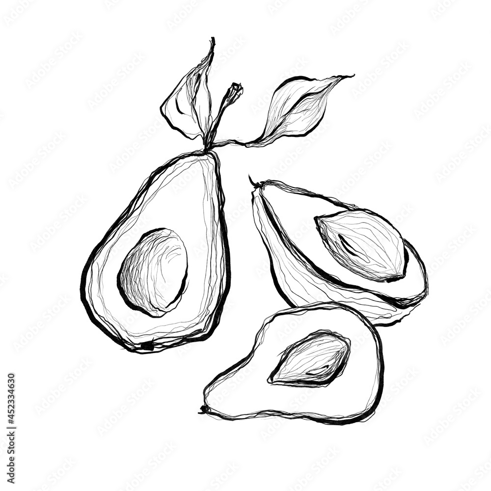Set of avocado line drawings. Food background.. Food illustration for ...