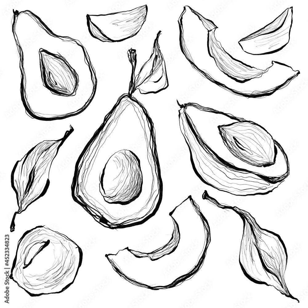 Avocado line drawing. Set of avocado isolated drawing. Food background ...