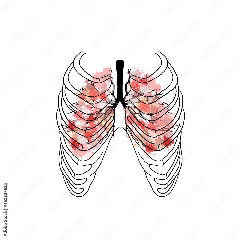 Human body rib cage skeletal system with lungs Stock Vector | Adobe Stock