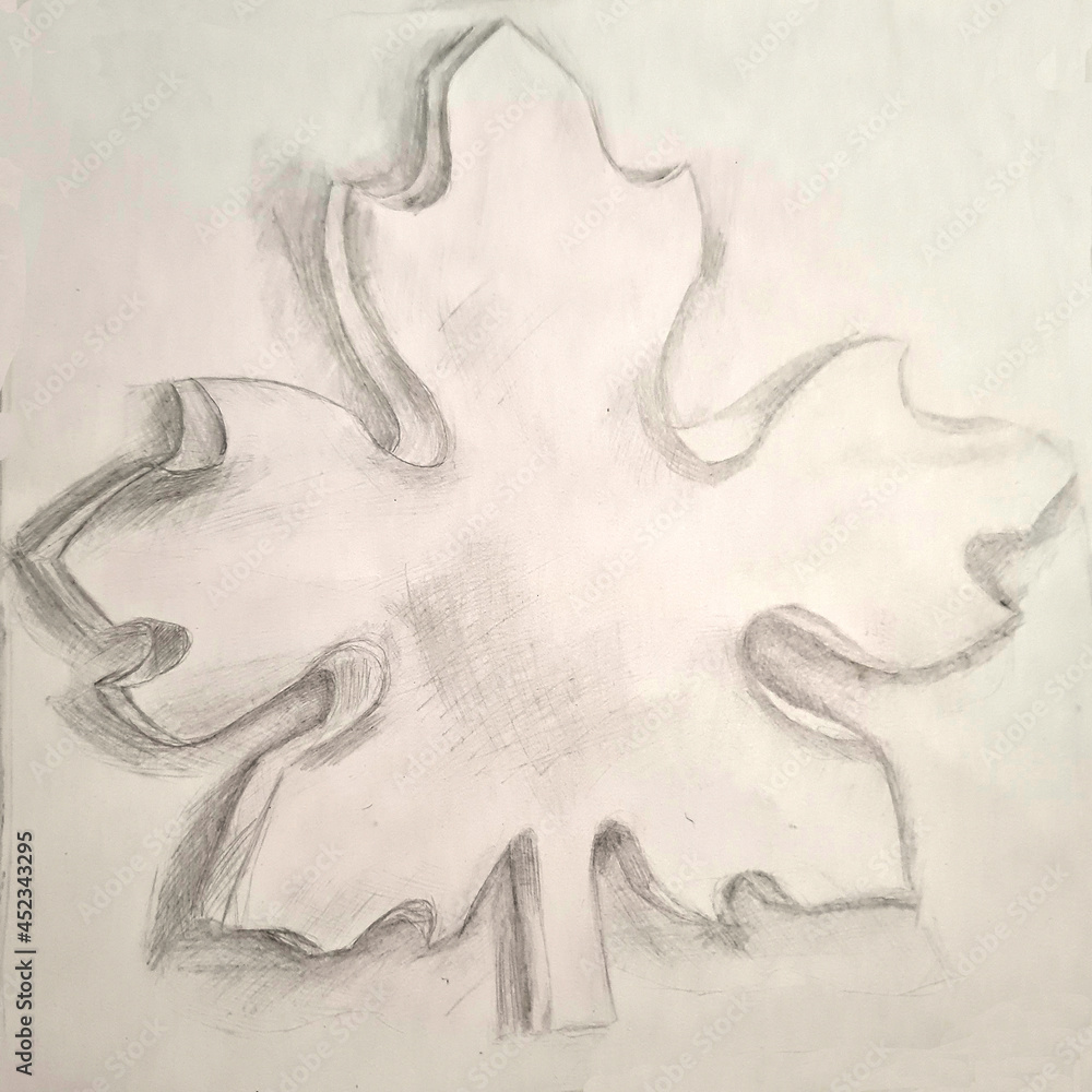 maple leaf pencil sketch, three-dimensional drawing with shadows and ...