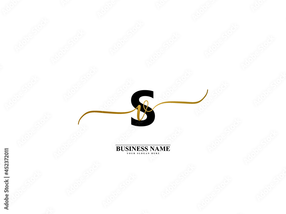 Letter SV Logo, creative sv vs signature logo for wedding, fashion ...