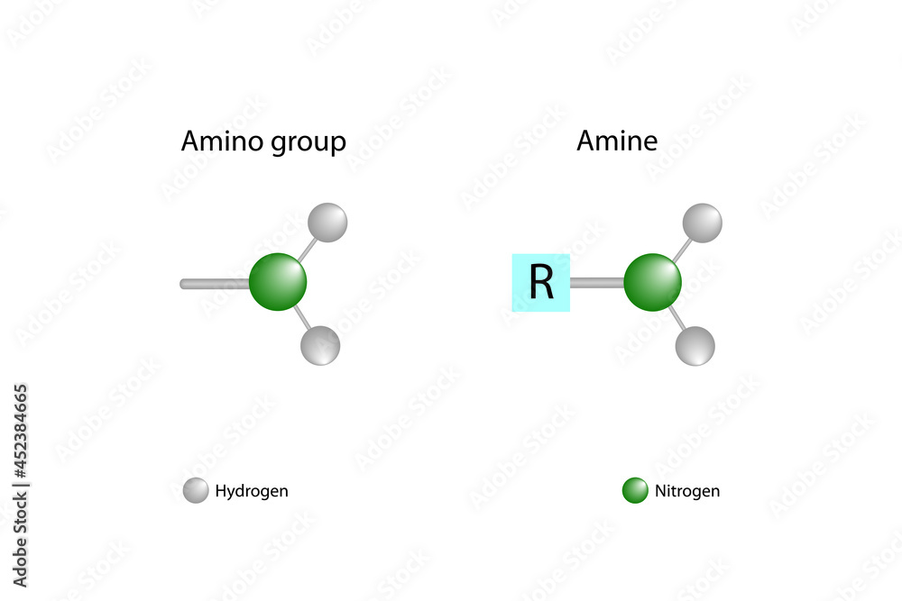Amino group and amine compound. Its molecular formula and chemical ...