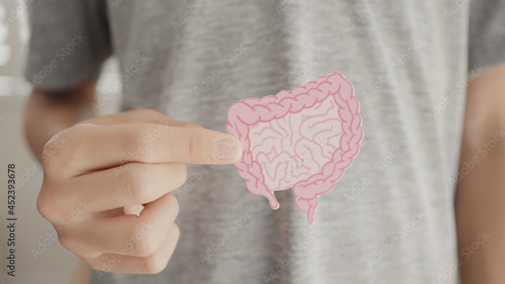 Hand holding intestine shape, healthy bowel degestion, leaky gut ...