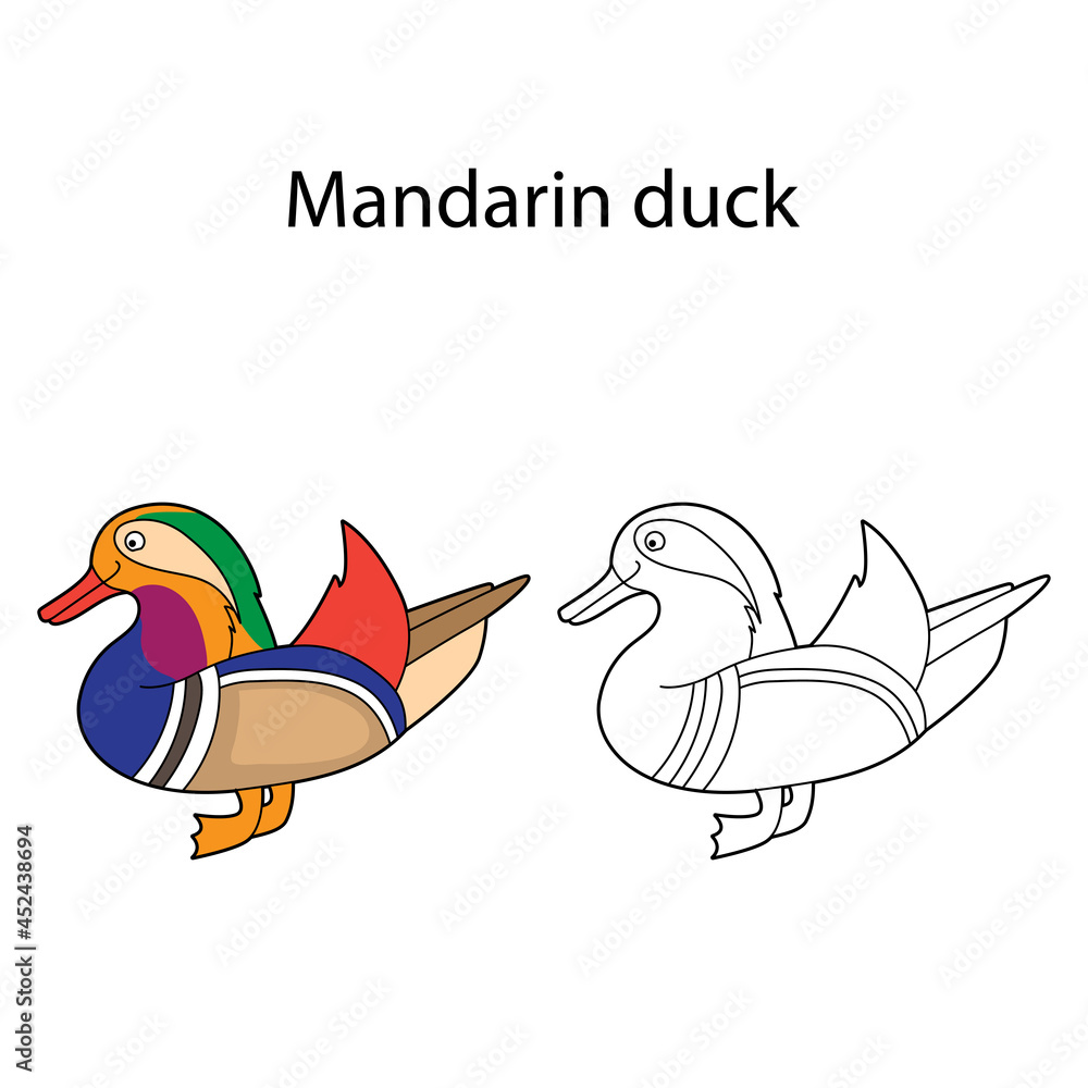 Funny cute bird mandarin duck on isolated on white background. Linear ...