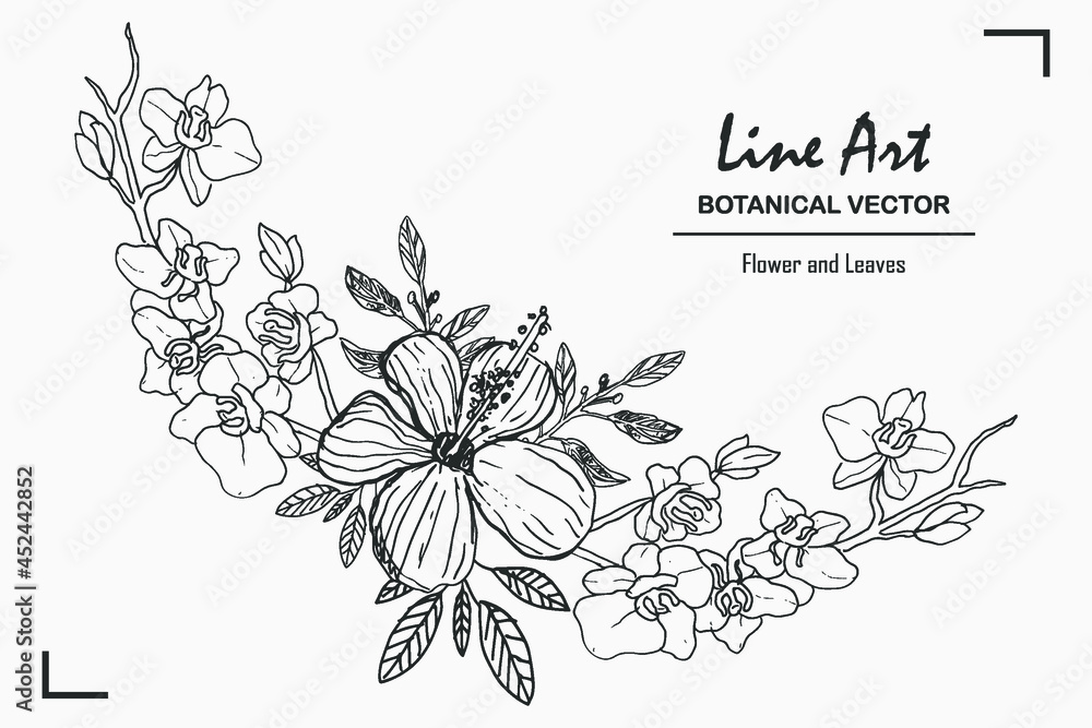 Line art botanical leaf and flower drawings Stock Vector | Adobe Stock