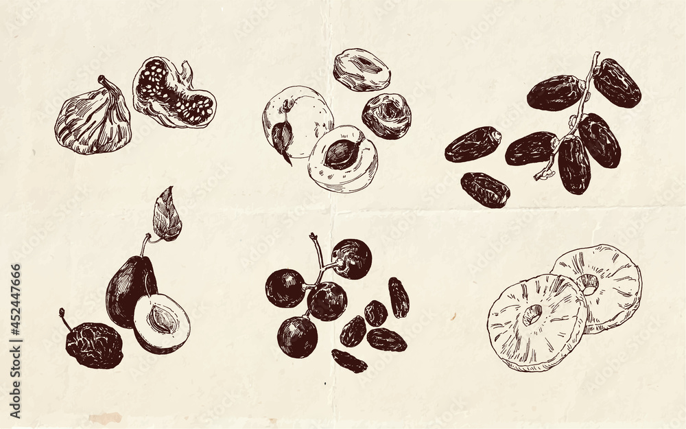 Hand drawn illustration, vintage drawing of dried fruits Stock Vector ...