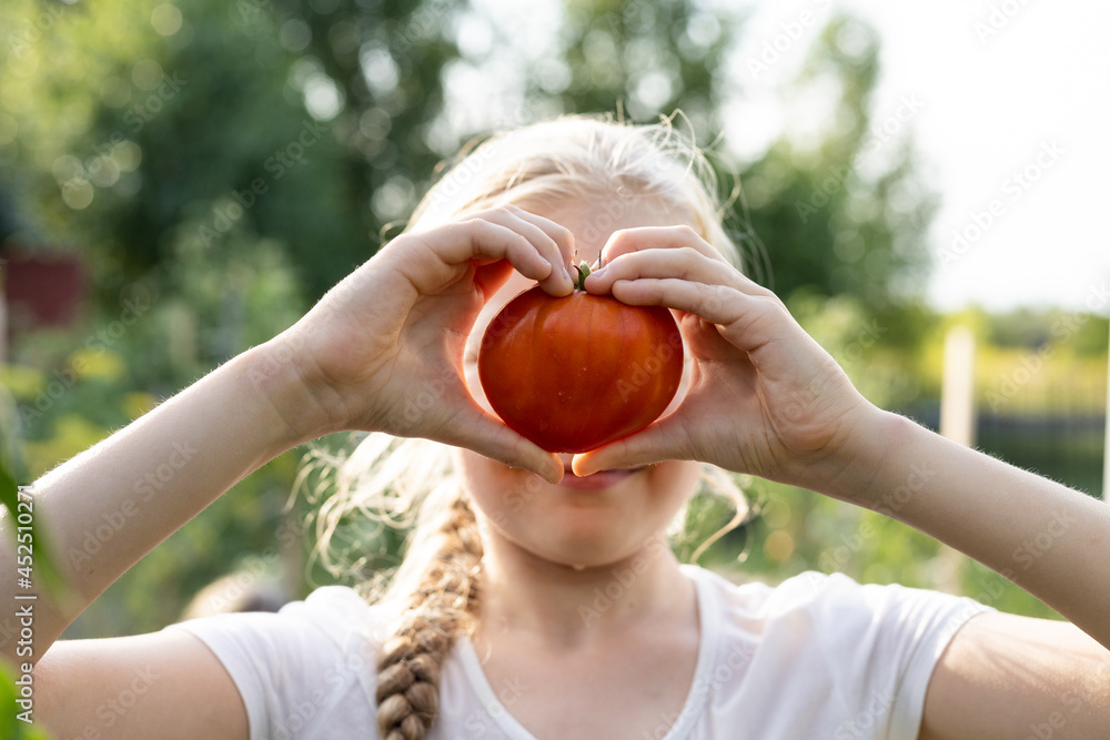 Sunny portrait of a charming girl with a tomato in her hands, a drop of ...