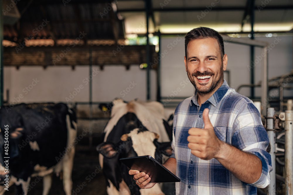 Adult man, taking care of the cows. Stock Photo | Adobe Stock