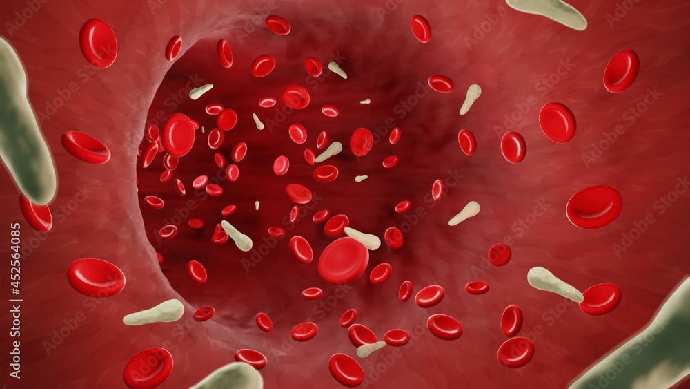 Tetanus bacteria in blood flow, Clostridium tetani infection Stock ...