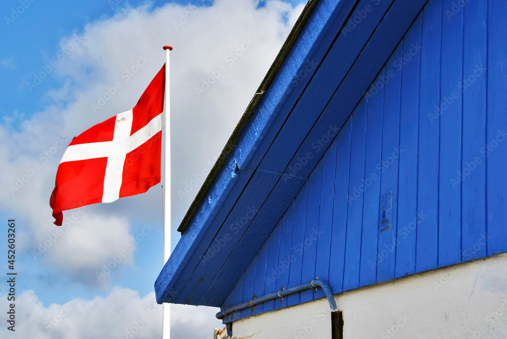 The Danish national flag Dannebrog in the wind on the North Sea coast ...