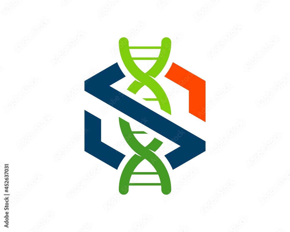 hexagonal shape with S letter initial and DNA symbol inside Stock ...
